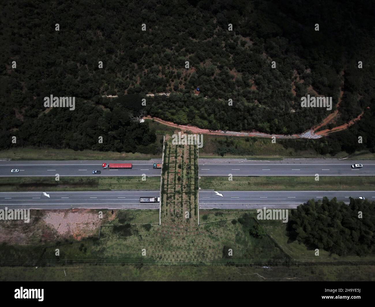 Wildlife corridor and highway hi-res stock photography and images - Alamy