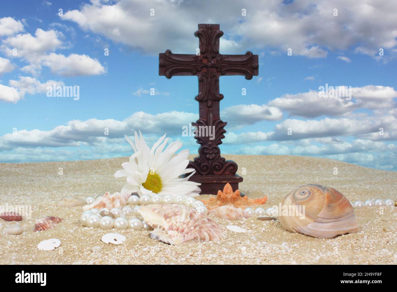 Sea Shells With Cross on Sand, Shallow DOF Focus on Shell Stock Photo ...