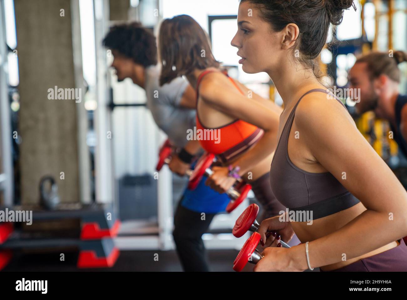 Group of fit people at the gym exercising Stock Photo - Alamy