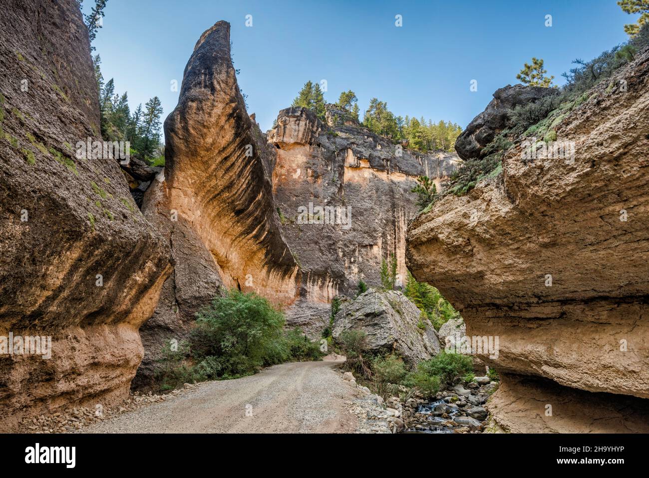 Crazy Woman Canyon, Bighorn National Forest, near Buffalo, Wyoming, USA ...