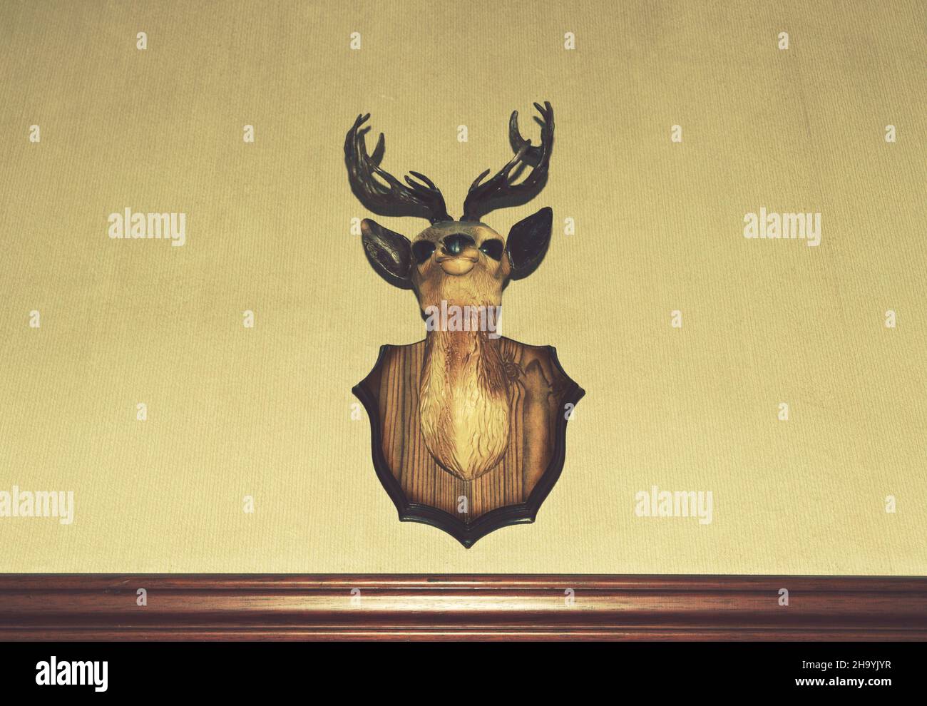 Stag head hi-res stock photography and images - Alamy