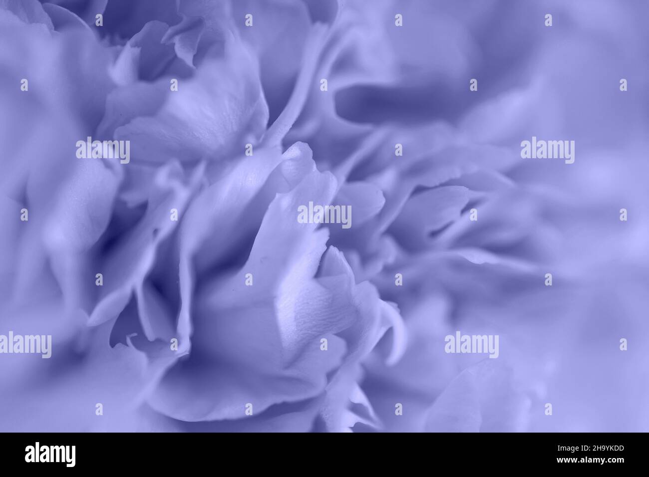 Very peri background hi-res stock photography and images - Alamy