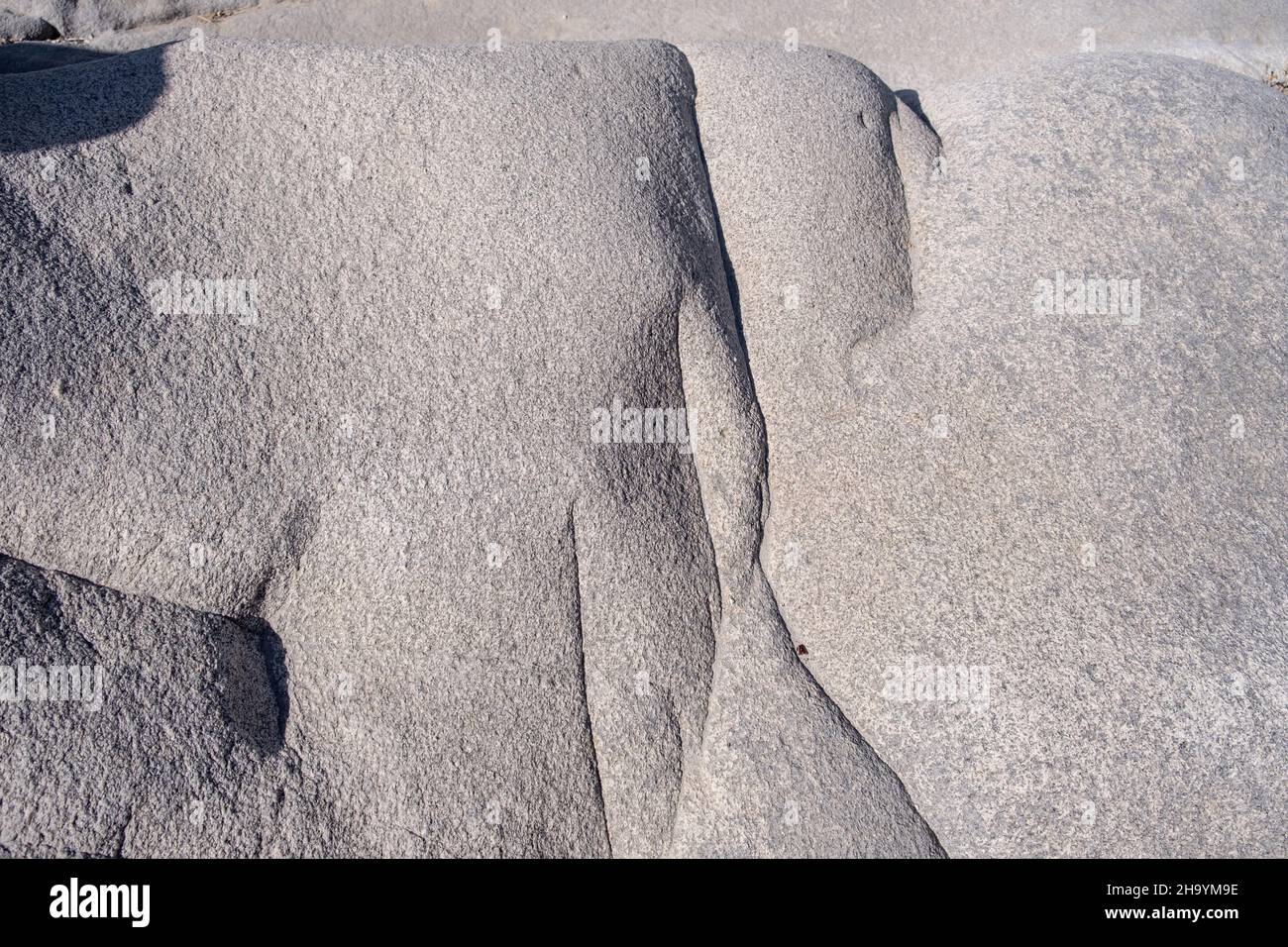 Gree texture hi-res stock photography and images - Alamy