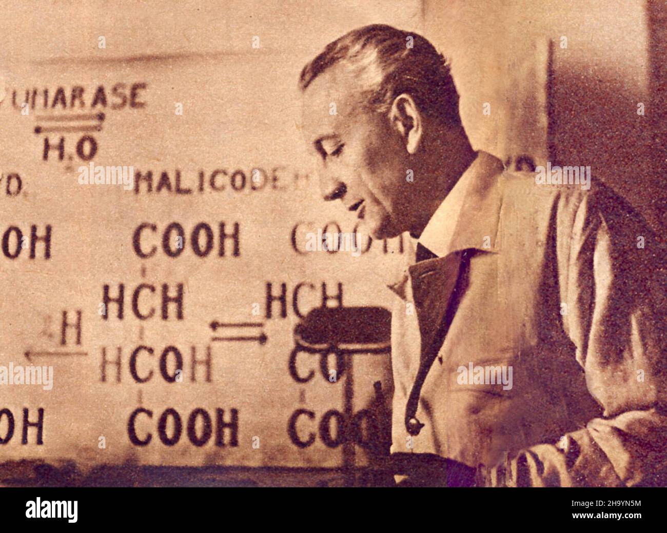 Szent gyorgyi albert hi-res stock photography and images - Alamy