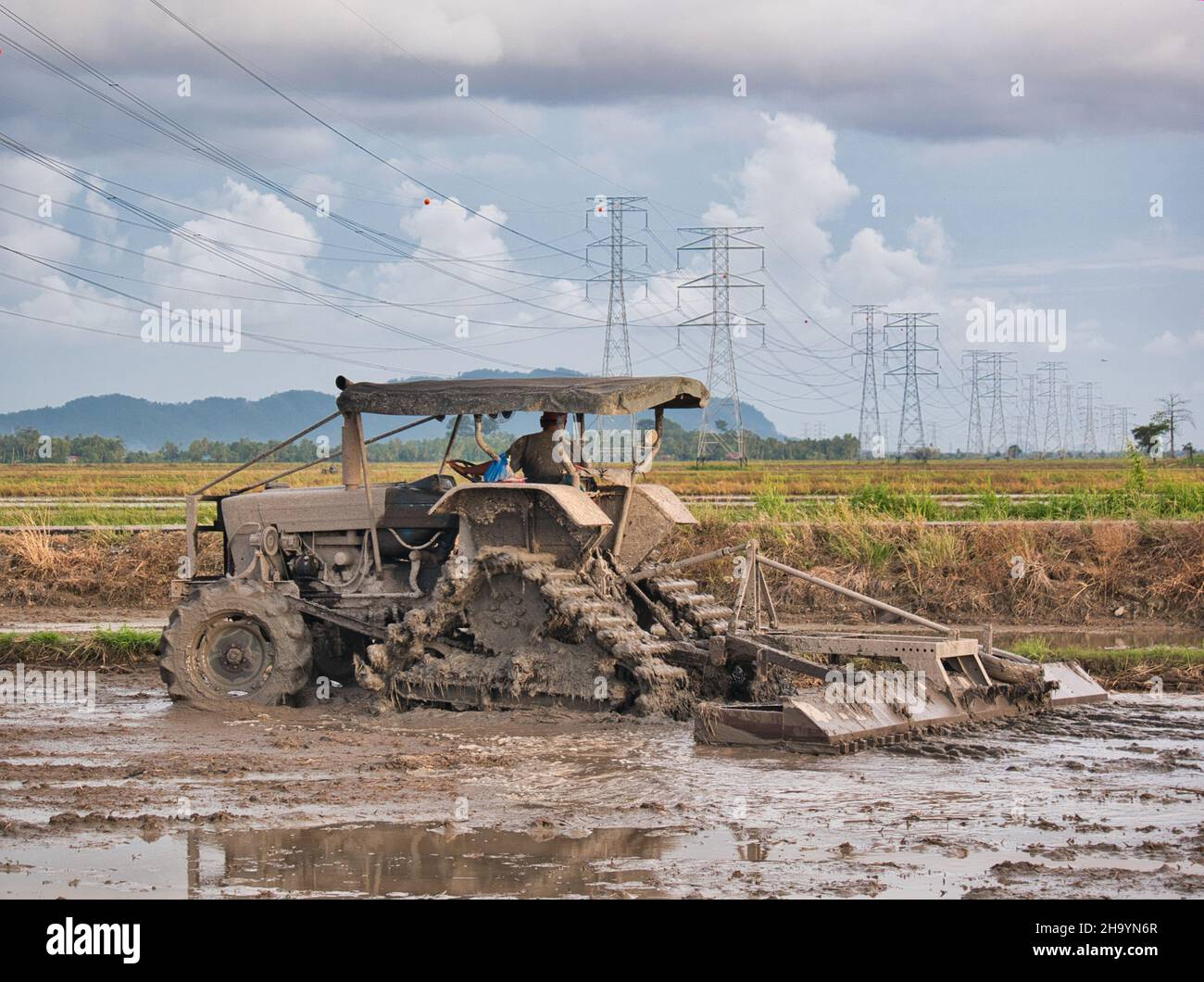 Tractor in the paddy field plowing the soil for cultivation Stock Photo ...