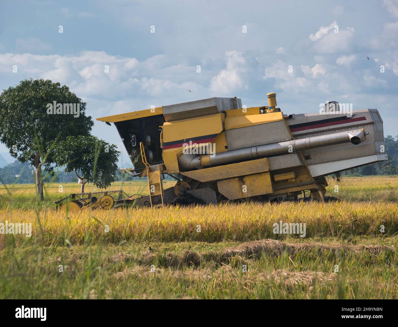 rice combine harvester Stock Photo - Alamy