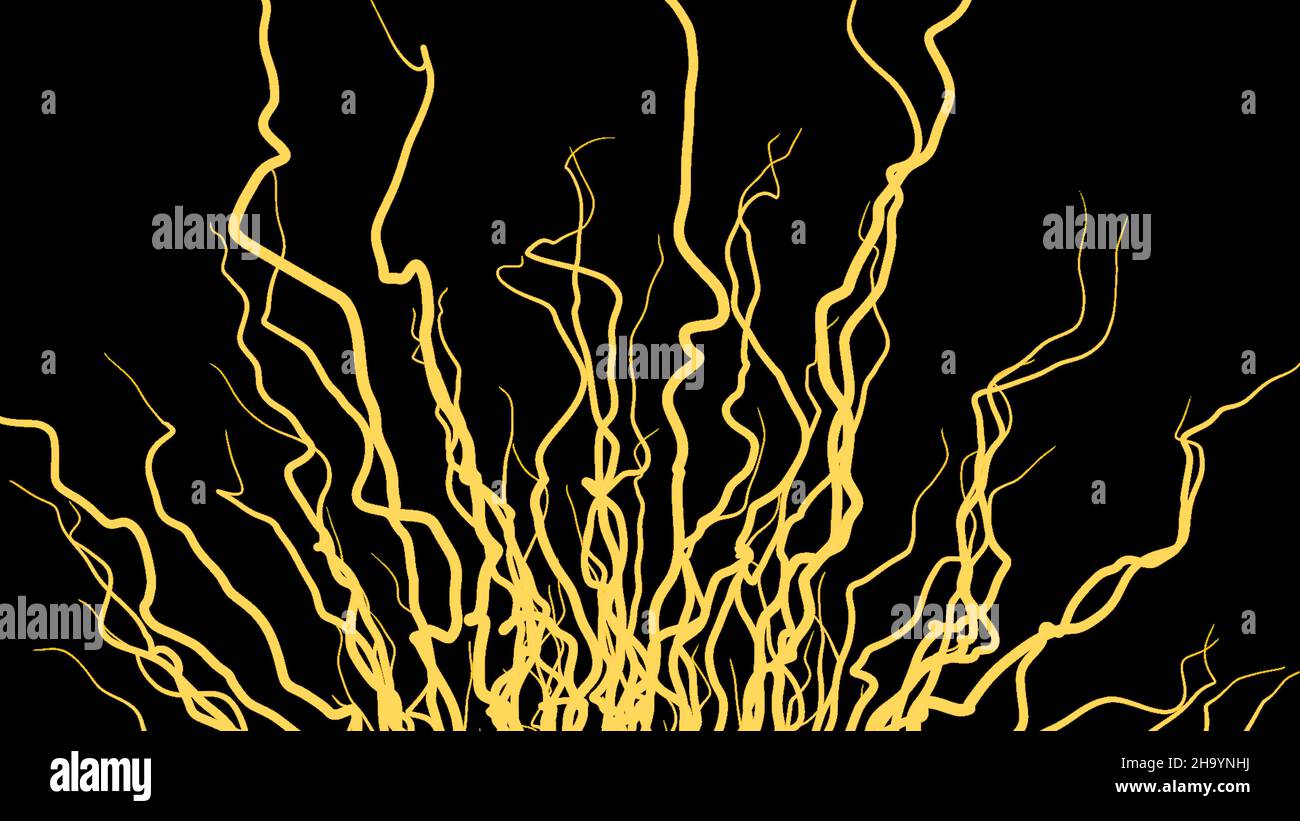 Moving growing roots on black background. Animation. Abstract animation ...