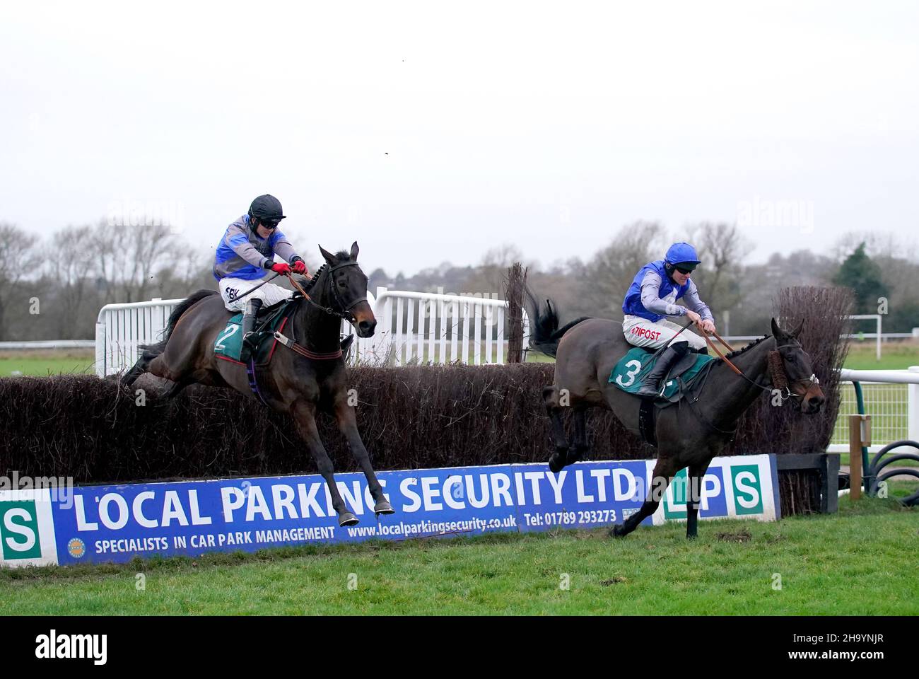 Pemberley horse hi-res stock photography and images - Alamy