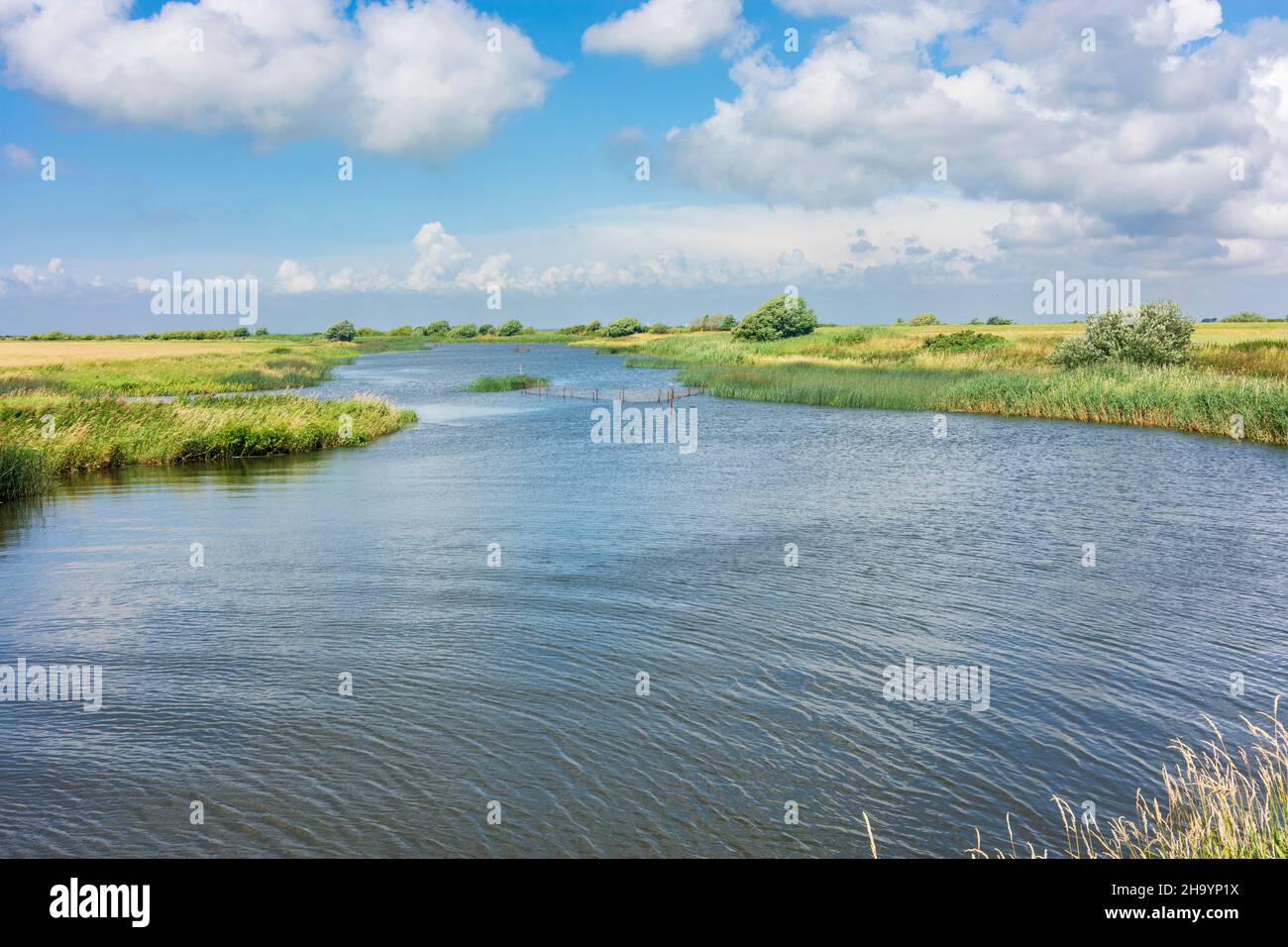Oxbow lake of river ribe hi-res stock photography and images - Alamy