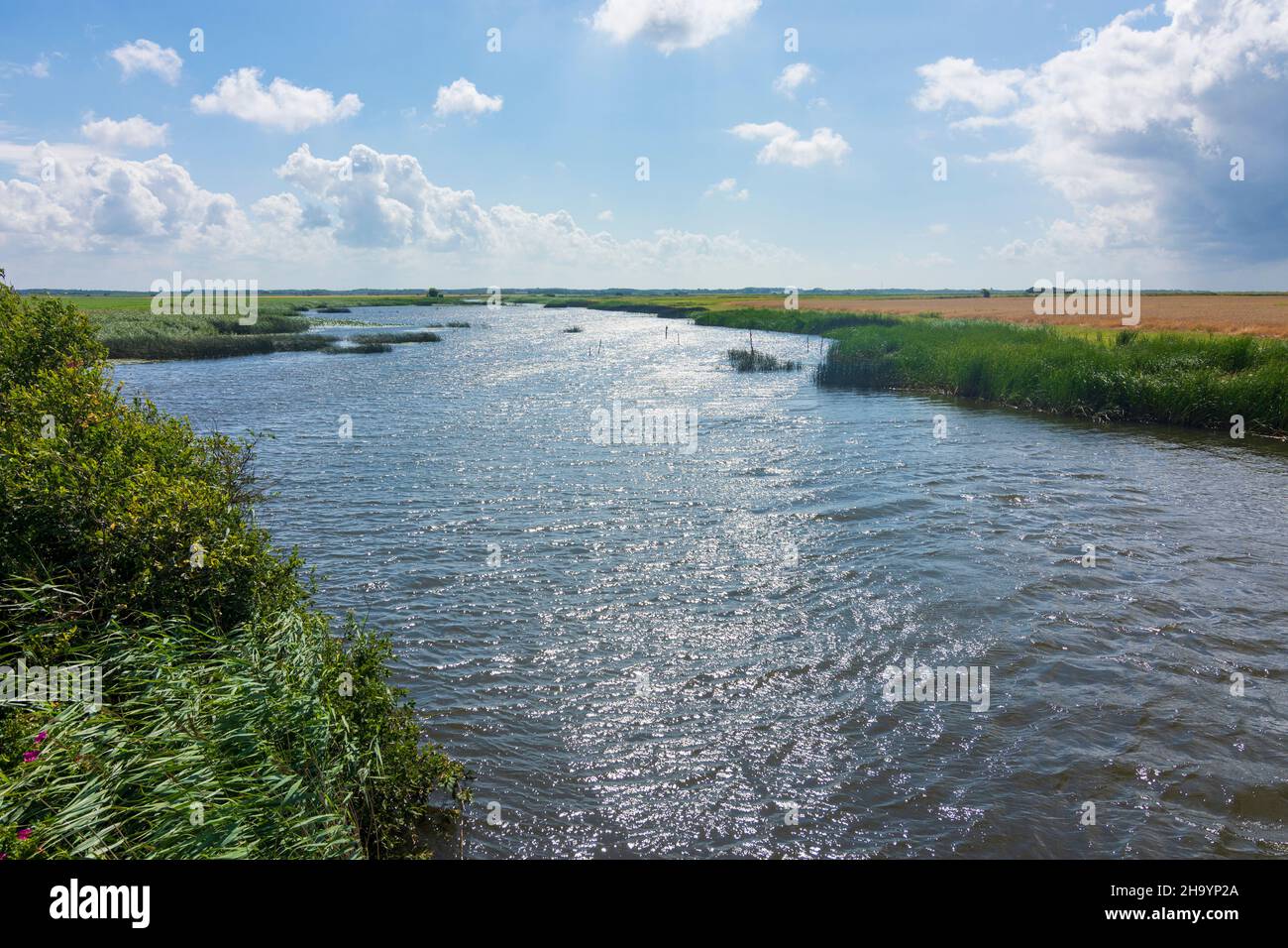Oxbow lake of river ribe hi-res stock photography and images - Alamy