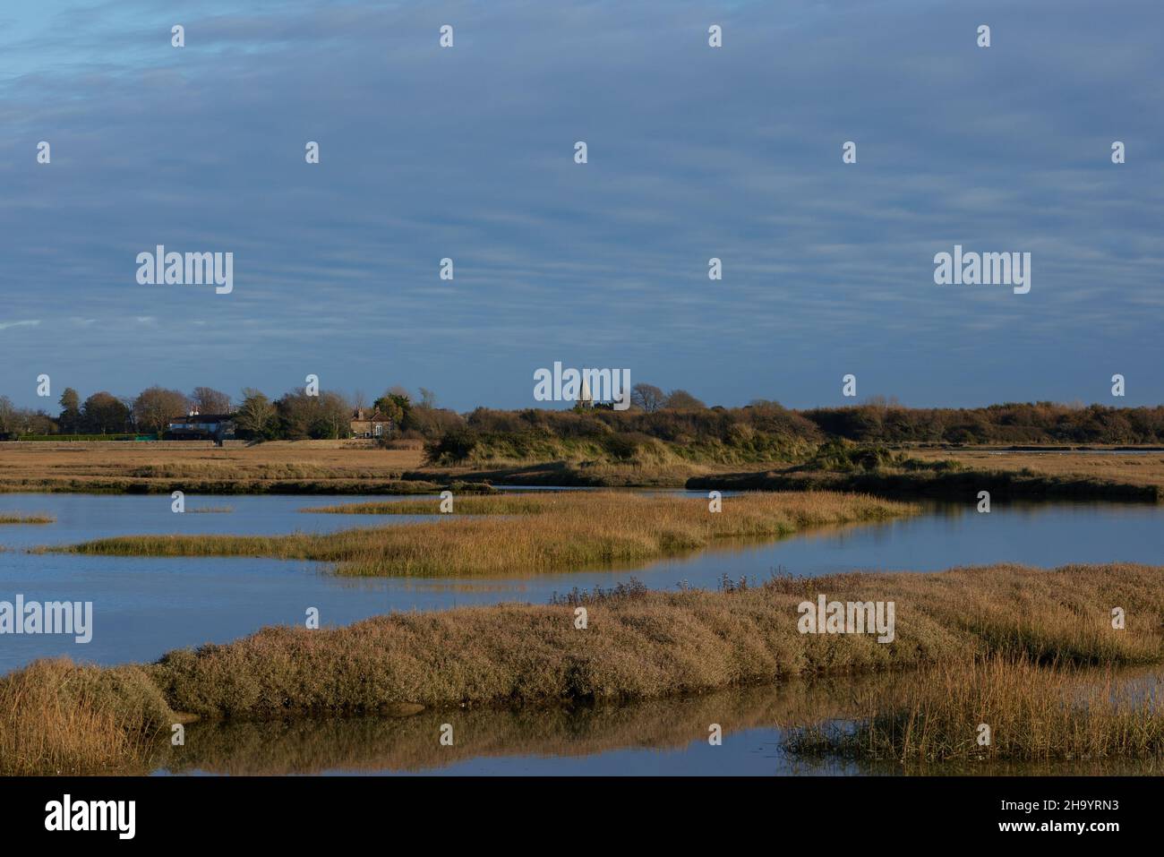 Marsh plants and water seen in Pagham Harbour Nature Reserve Stock ...