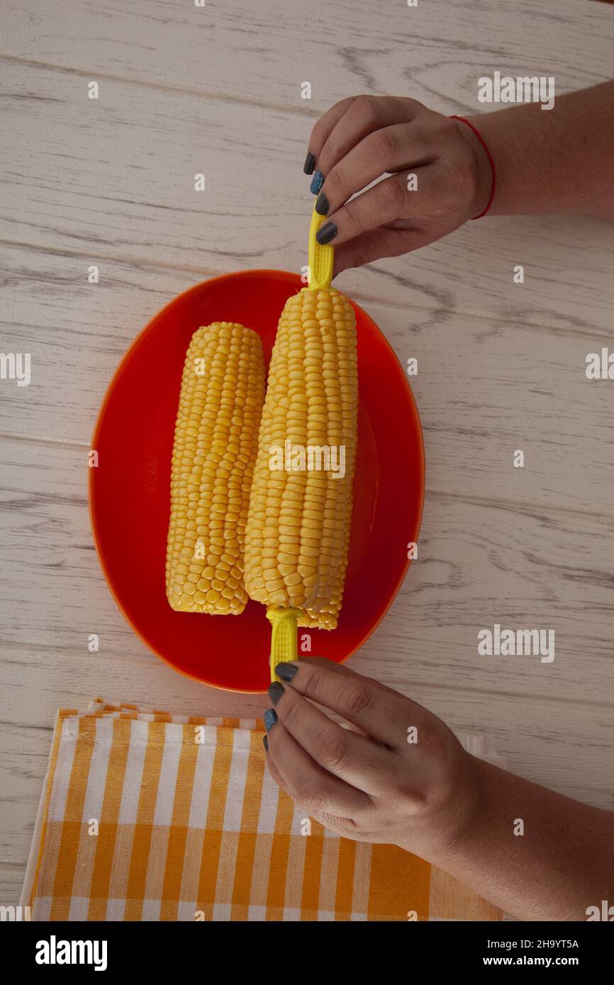 Top view of female hands holding Maize with sticks Stock Photo - Alamy