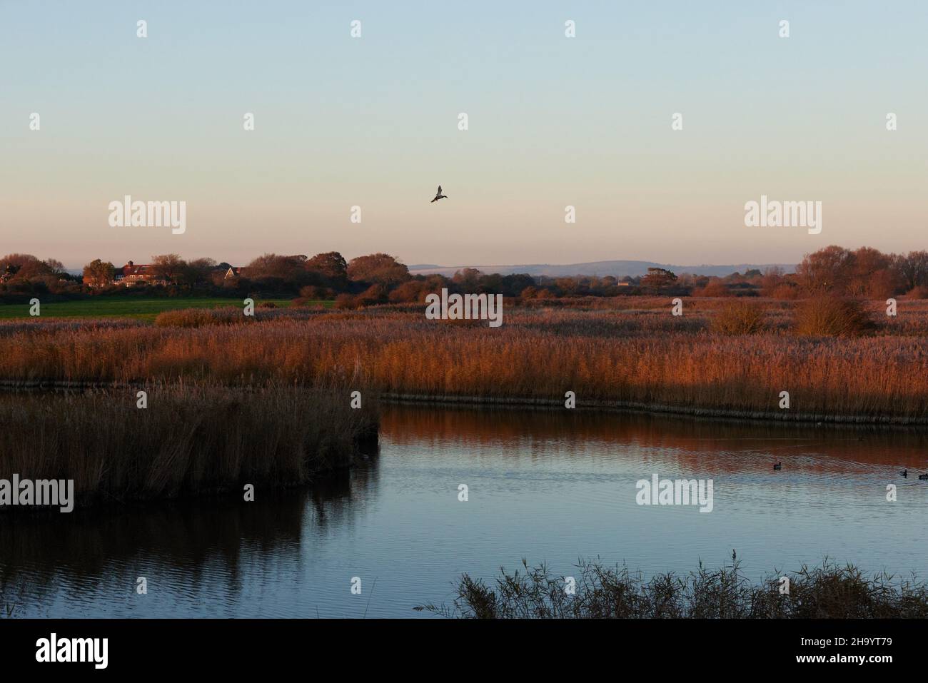 Wetlands pagham harbour hi-res stock photography and images - Alamy