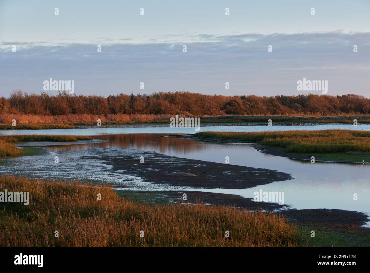 Pagham harbour Nature Reserve at sunset Stock Photo - Alamy