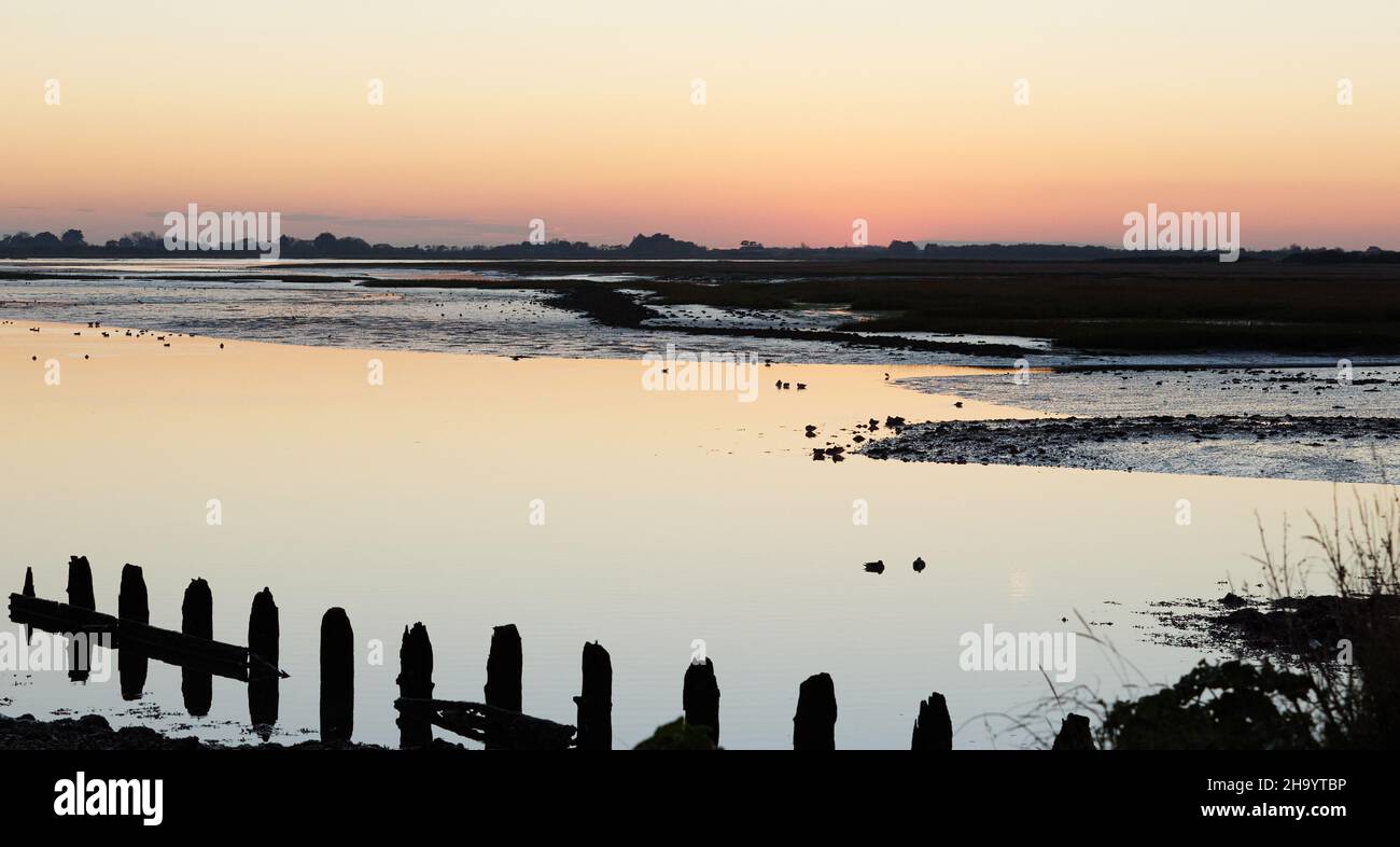 Pagham Harbour Nature Reserve at sunset Stock Photo - Alamy