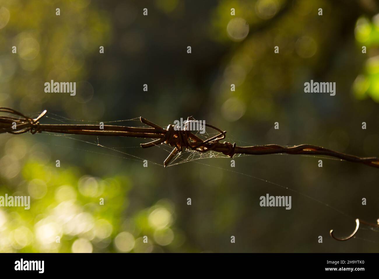 Rusty wire and fence for separating fields and plots of land Stock ...