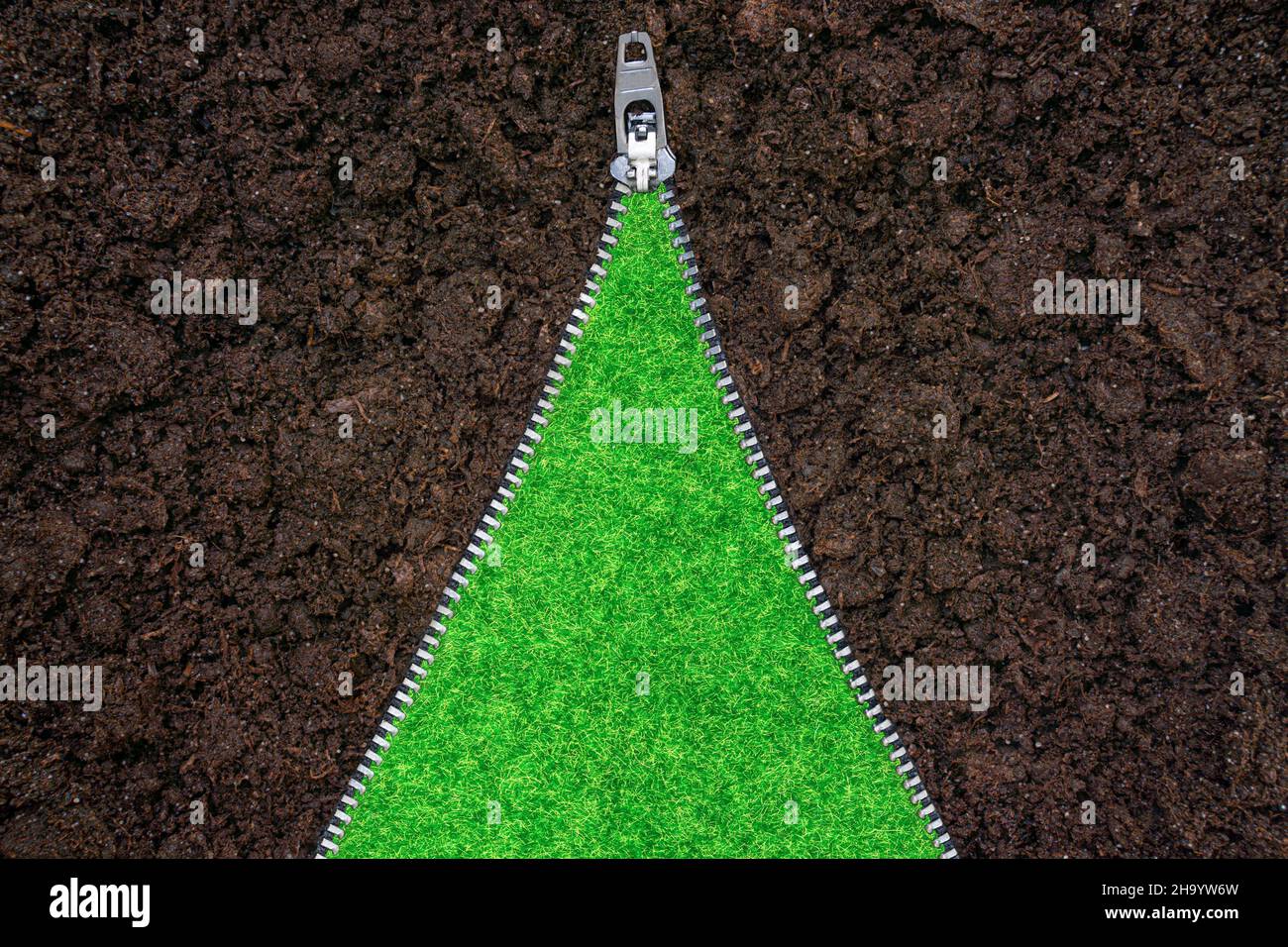 Fresh green grass exposed through the unzipped soil layer. Creative ...