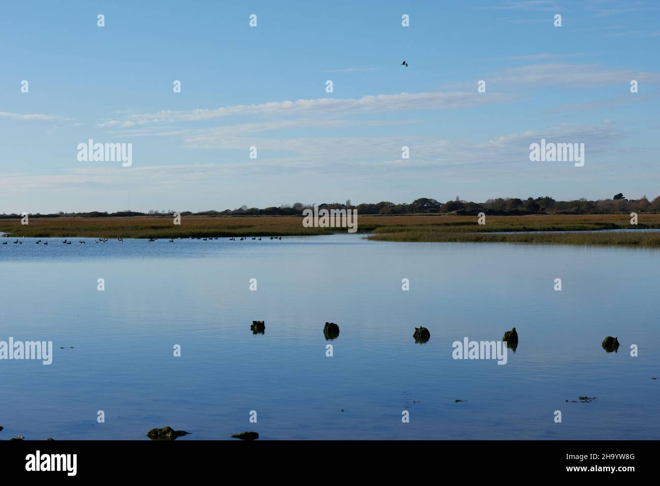 Pagham harbour nature reserve at high tide Stock Photo - Alamy