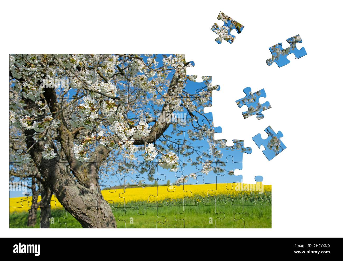 Tree puzzle hi-res stock photography and images - Alamy