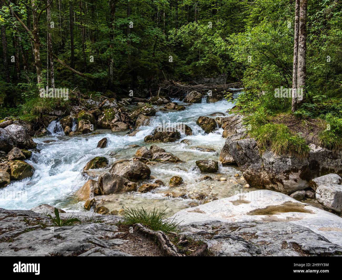 Magic Forest Zauberwald at Lake Hintersee with Creek Ramsauer Ache ...