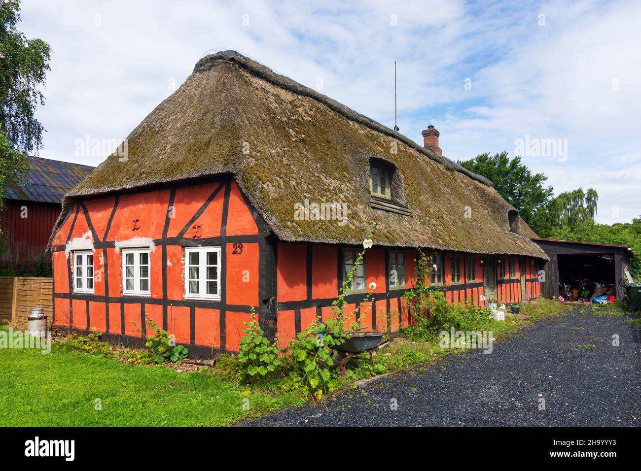 Hedensted: thatched-roof, half-timbered farmhouse, in Aale, Jylland ...