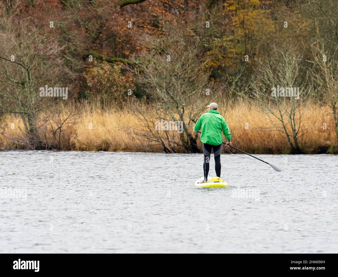 A man paddleboarding on the River Brathay, Ambleside, Lake District, UK ...