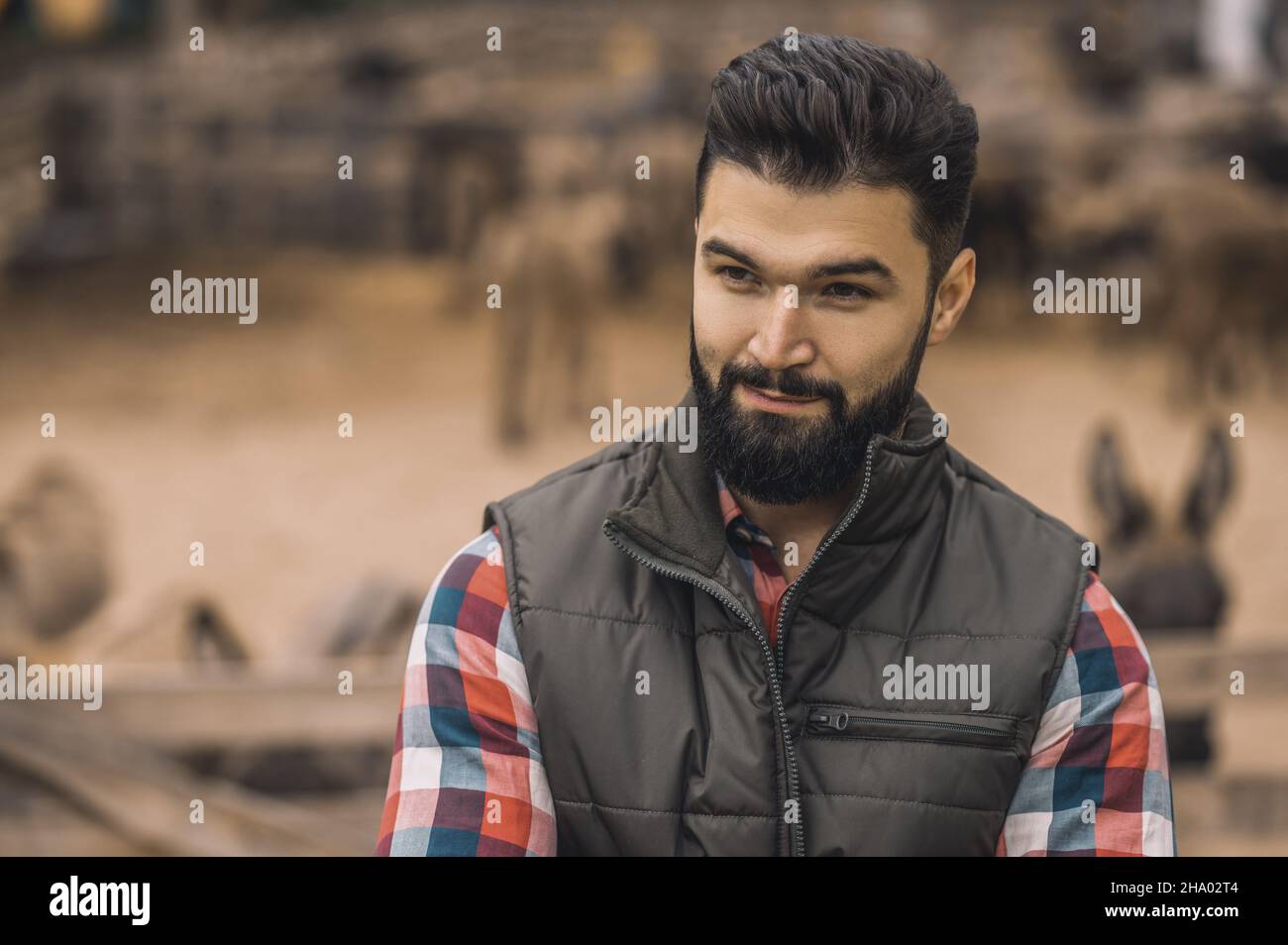 A farmer in the black vest and a plaid shirt standing near the cattle ...