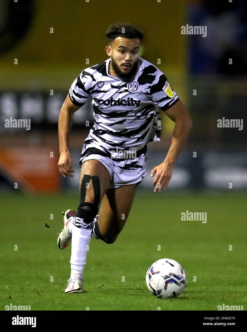 Forest green smarpix hi-res stock photography and images - Alamy