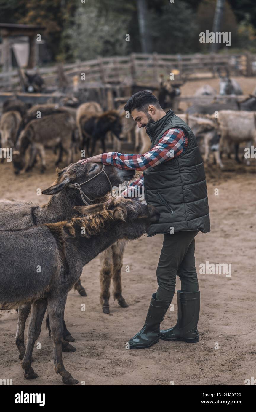 Digital animals hi-res stock photography and images - Alamy