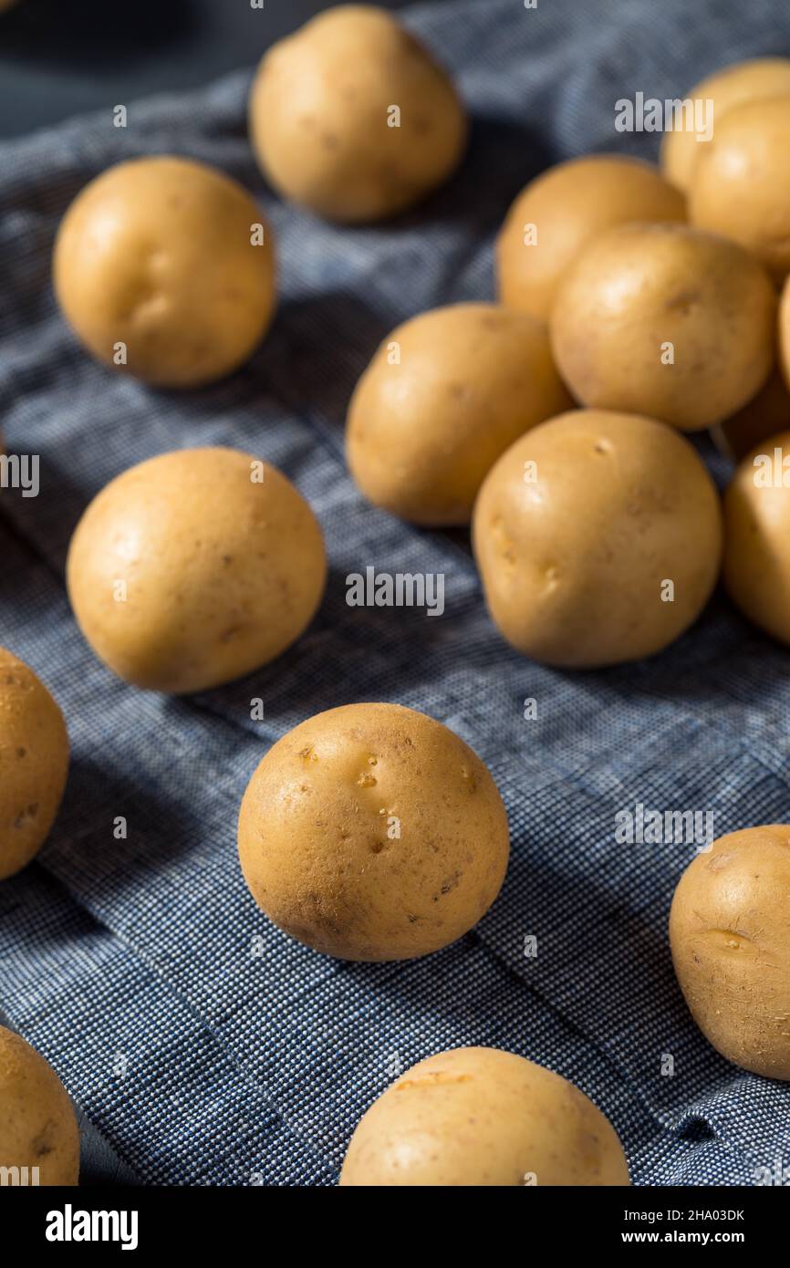 Raw Yellow Organic Baby Potatoes in a Bunch Stock Photo - Alamy