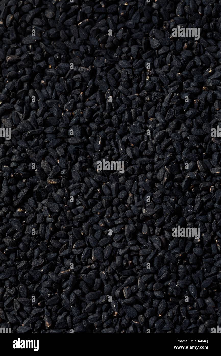 Raw Black Organic Charnushka Onion Seed Spice in a Bowl Stock Photo - Alamy