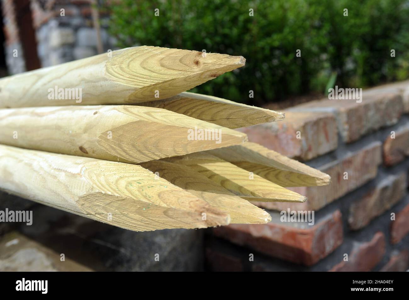 a few wooden stakes with spikes ready for construction works Stock ...