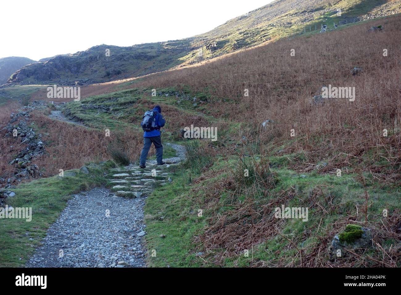 Single Lone Man Climbing Stone Steps up to the Scarth Gap Pass from ...