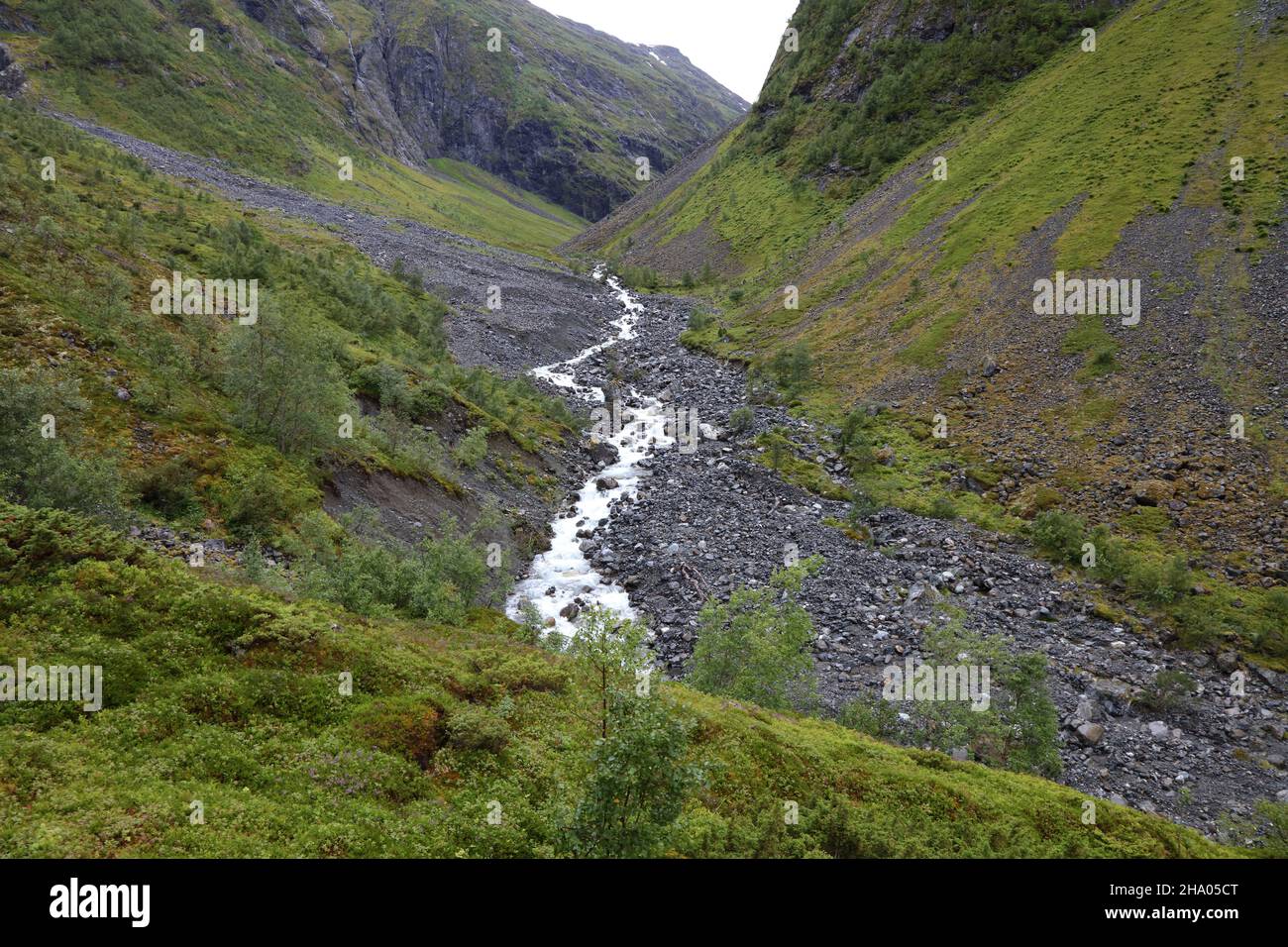 Tundola hi-res stock photography and images - Alamy