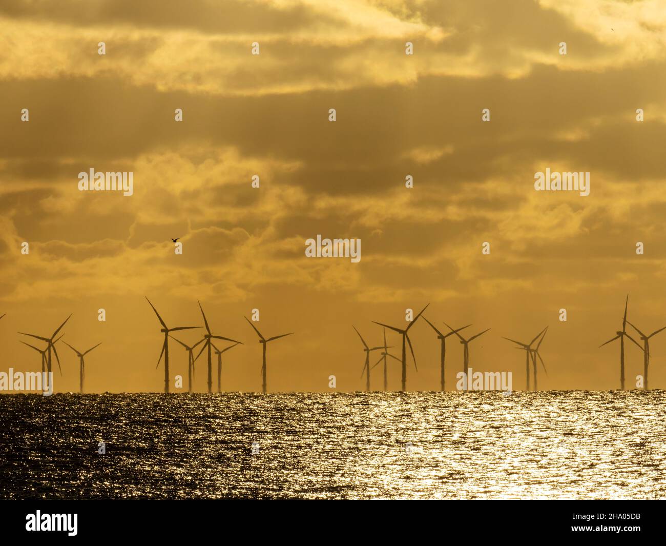 The Walney offshore wind farm off Walney Island, Cumbria, UK Stock ...