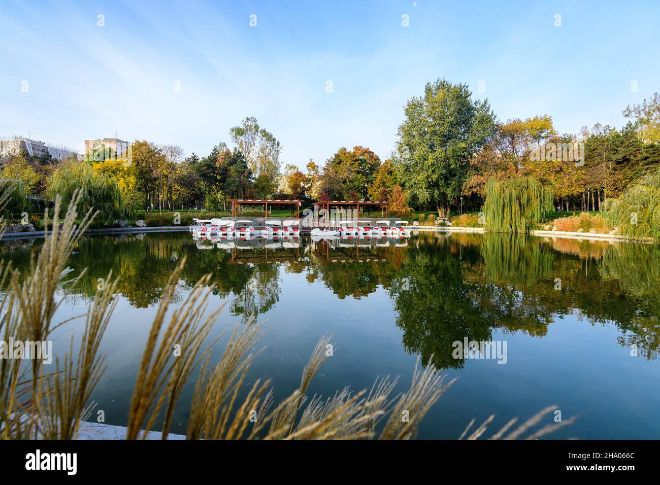 Landscape with the lake and green and yellow trees in Drumul Taberei ...
