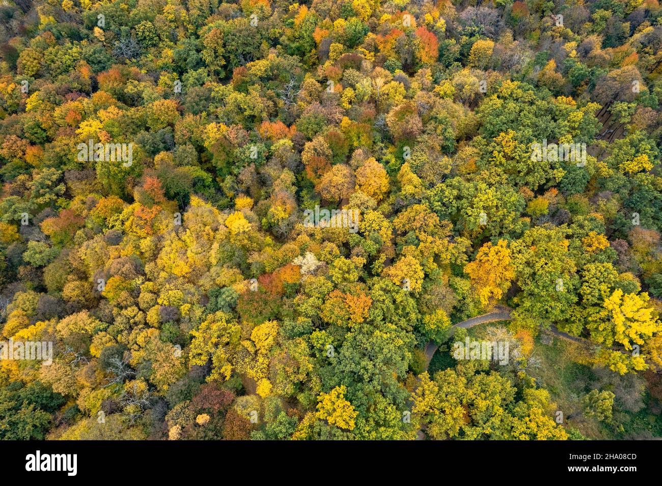 Aerial view orange trees plantation hi-res stock photography and images ...