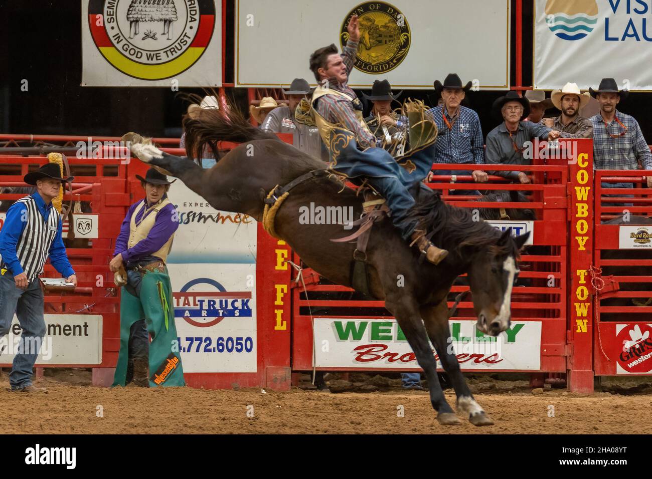 Bareback Bronc Riding High Resolution Stock Photography and Images - Alamy