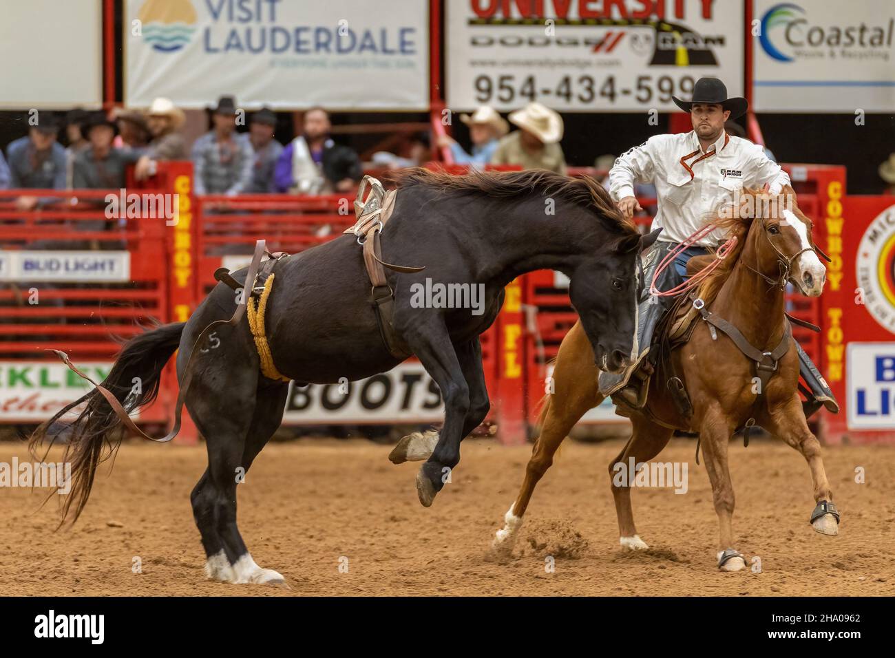 Bareback bronc riding hi-res stock photography and images - Alamy