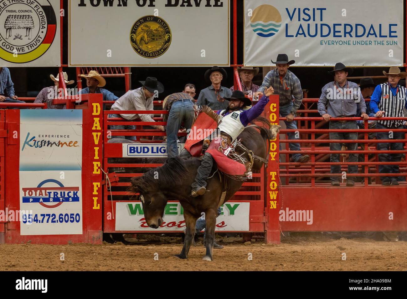 Bareback Bronc Riding High Resolution Stock Photography and Images - Alamy