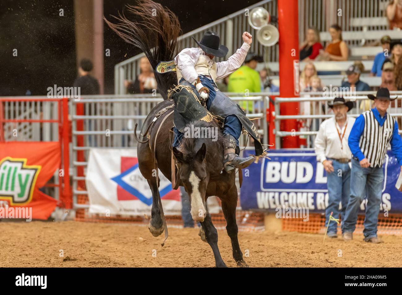 Bareback bronc riding hi-res stock photography and images - Alamy