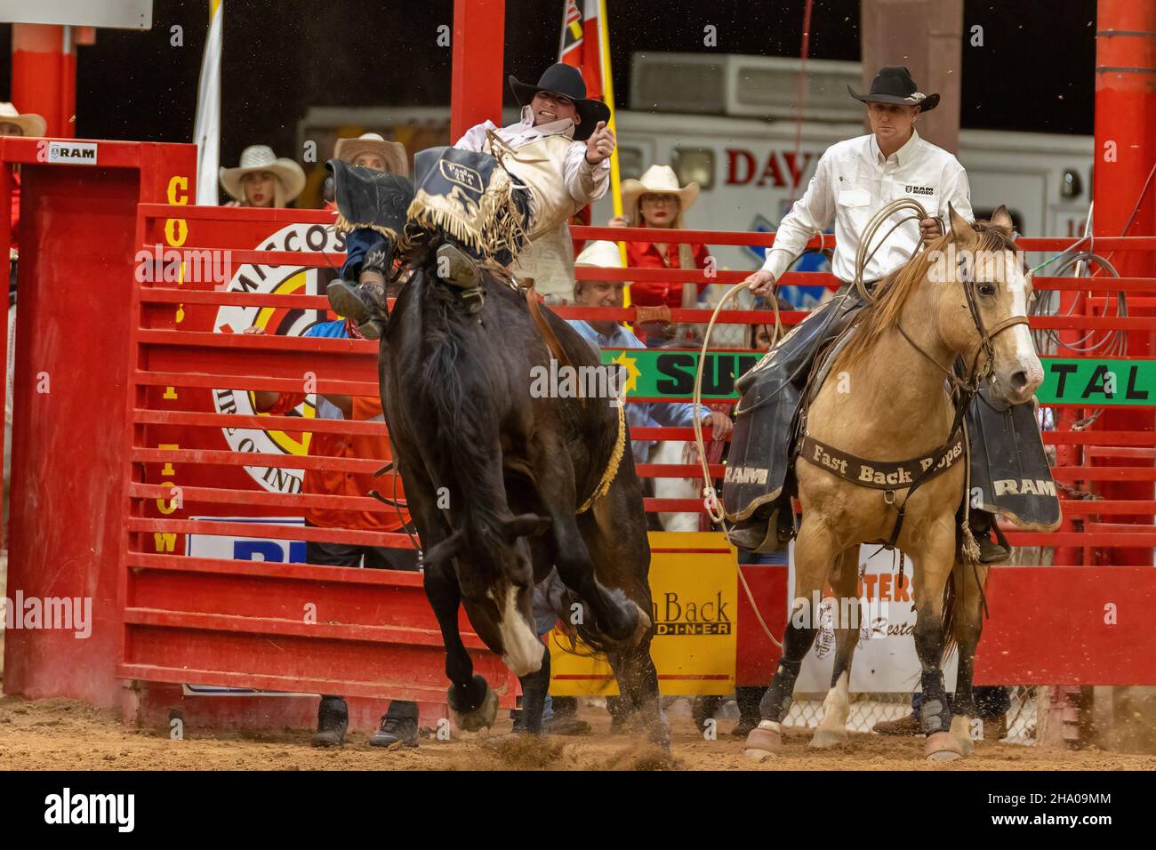 Bareback Bronc Riding High Resolution Stock Photography and Images - Alamy