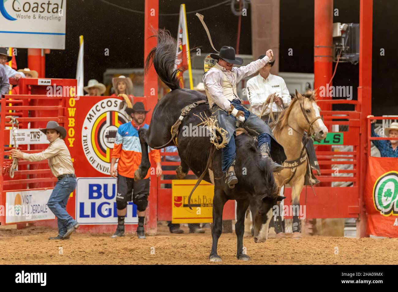 Bareback Bronc Riding High Resolution Stock Photography and Images - Alamy