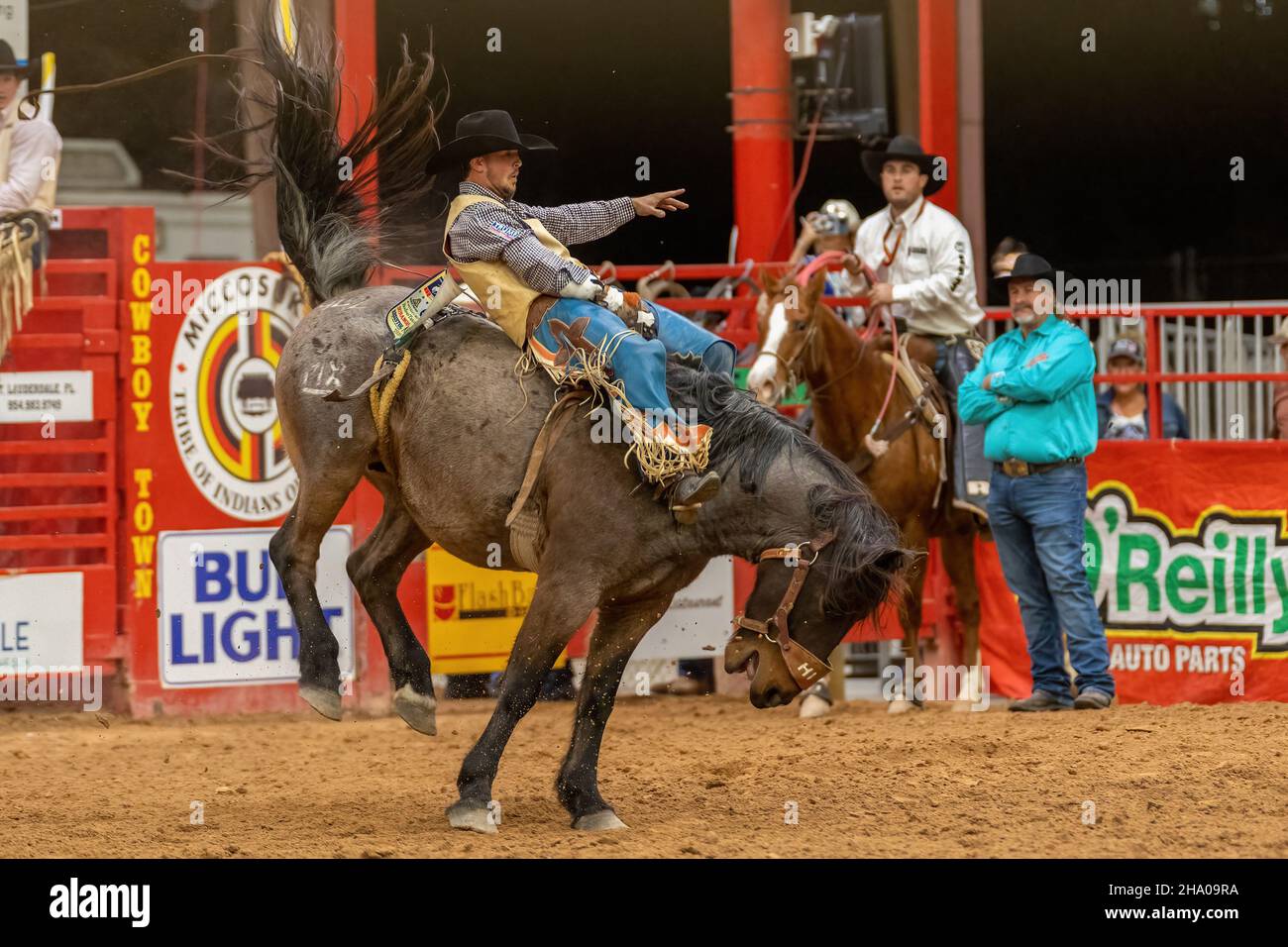 Bareback Bronc Riding High Resolution Stock Photography and Images - Alamy