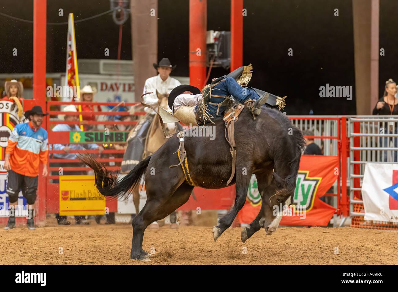 Bareback Bronc Riding High Resolution Stock Photography and Images - Alamy