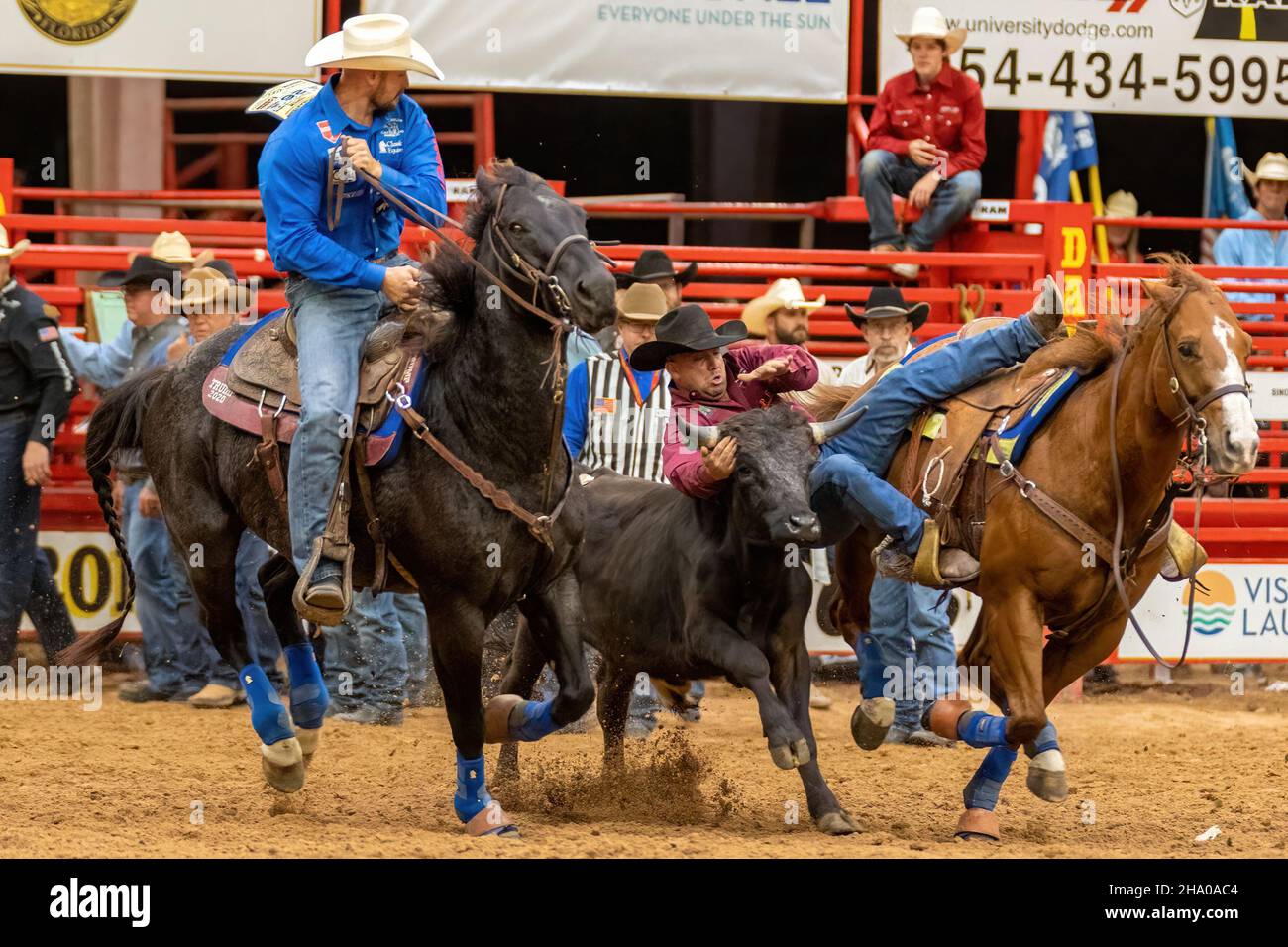 Steer Wrestling seen on Southeastern Circuit Finals Rodeo during the ...