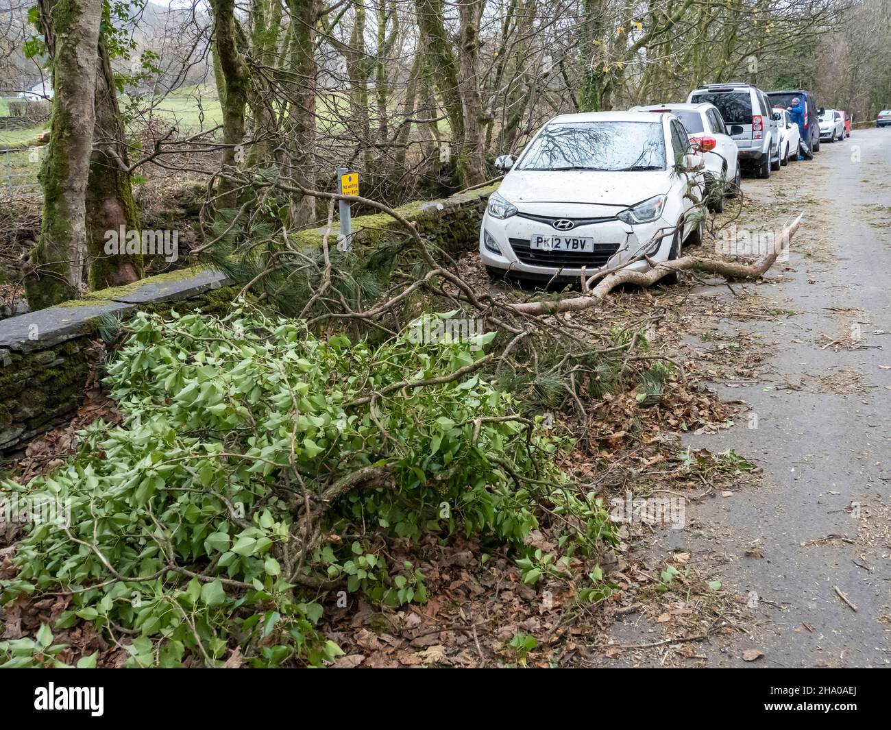 Tree branches in Ambleside blown onto a car by Storm Arwen, an extrmely ...