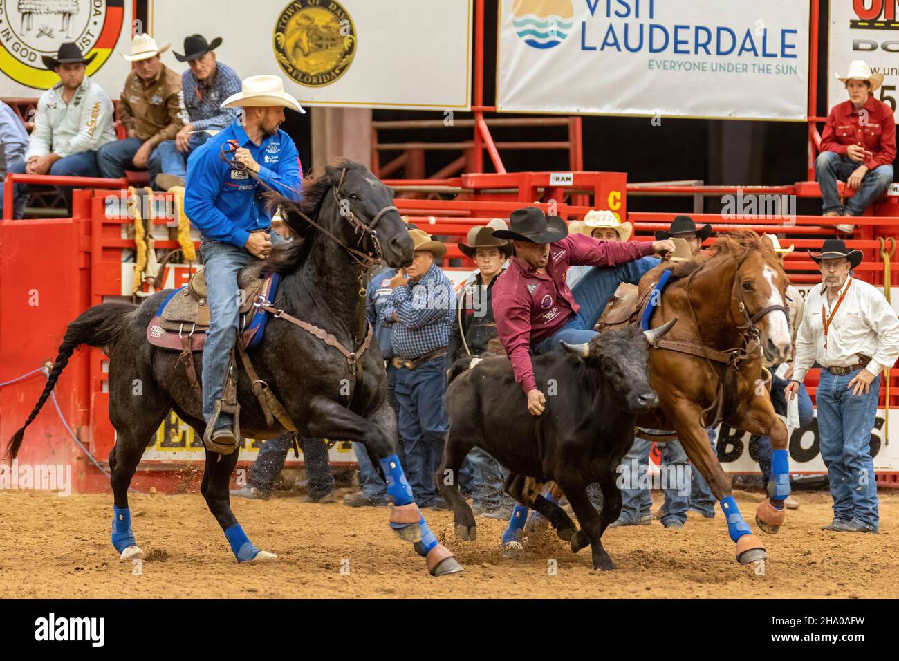 Steer Wrestling seen on Southeastern Circuit Finals Rodeo during the ...