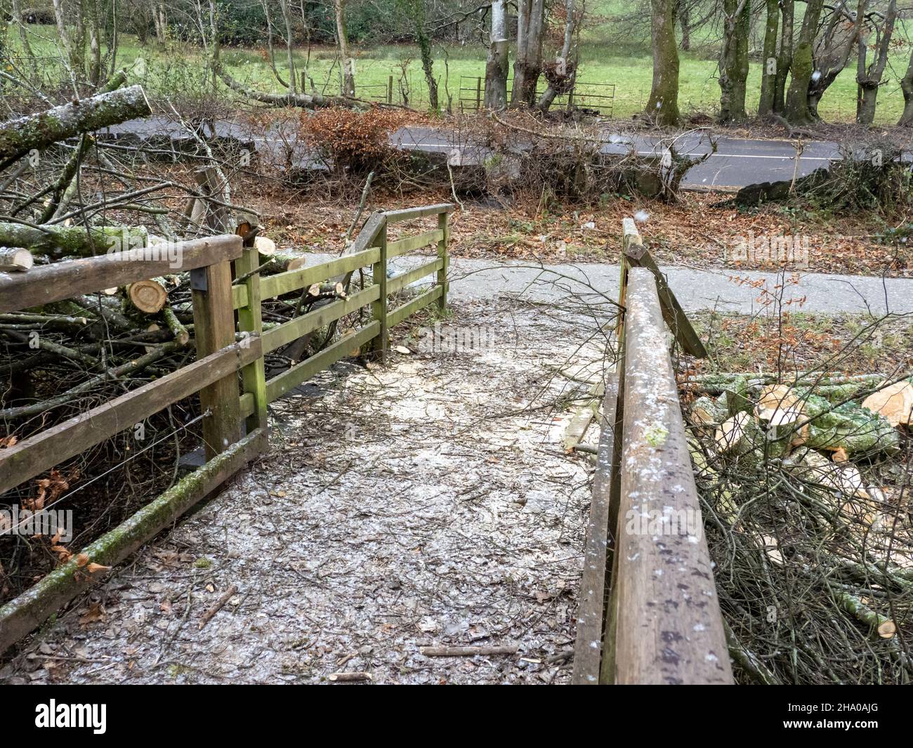 A tree in Ambleside blown over onto a bridge by Storm Arwen, an ...
