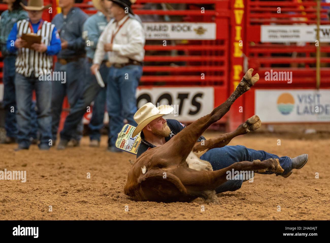 Davie rodeo hi-res stock photography and images - Alamy